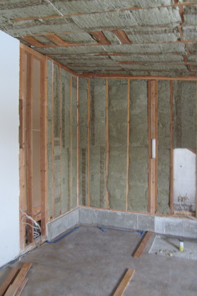 Insulation Inspection Done | Twinsprings Research Institute